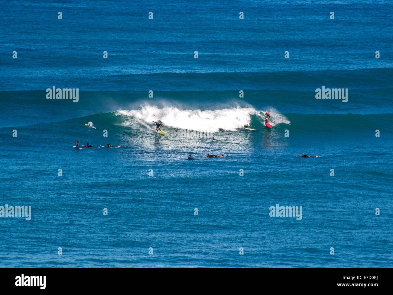 Surfing at the reef hi-res stock photography and images - Alamy