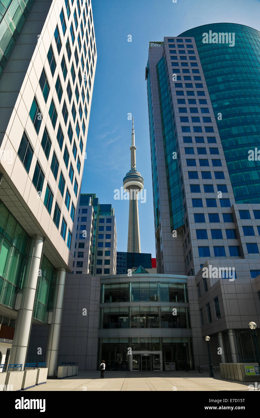 Downtown Toronto view with CN Tower in a background on a sunny spring ...