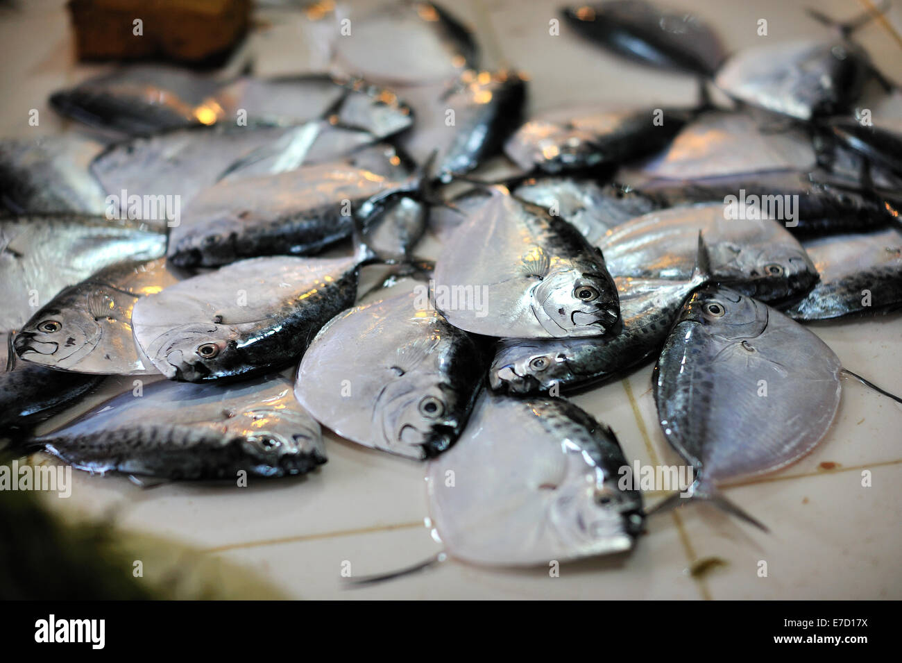 Fresh fish market philippines hi-res stock photography and images - Alamy
