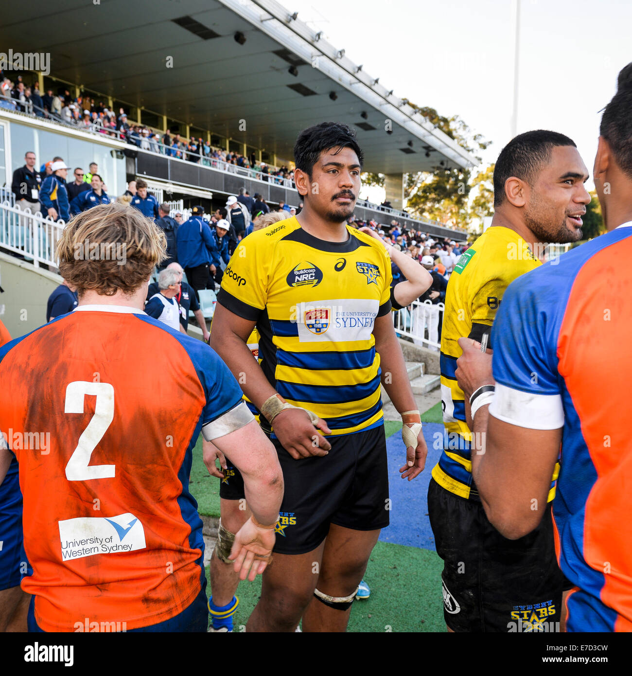 Will skelton australia hi-res stock photography and images - Alamy