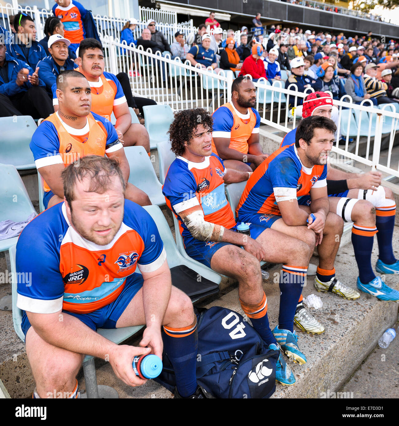 SYDNEY, AUSTRALIA - AUGUST 13: Qantas Wallaby player Benn Robinson (L ...