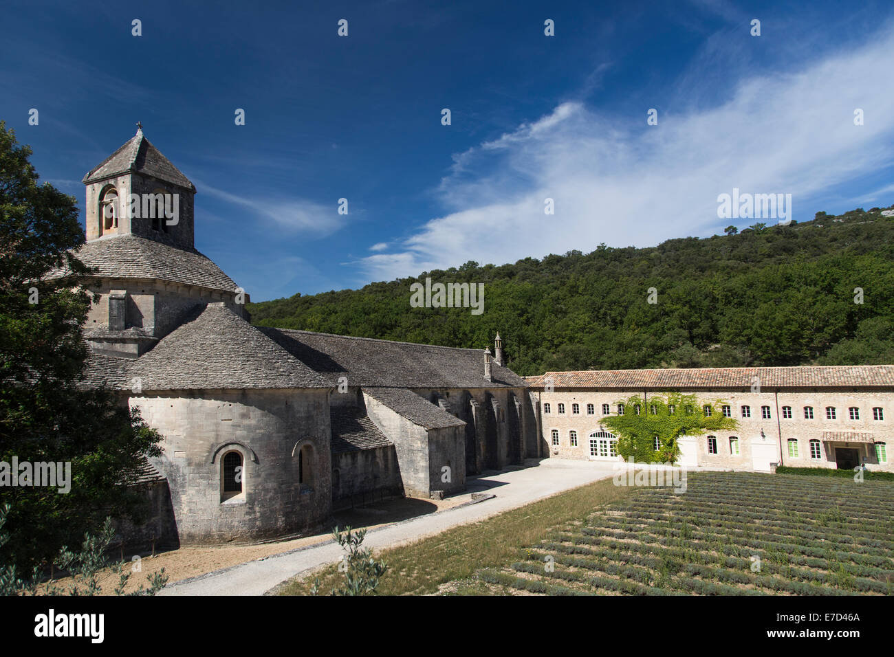 Senanque Abbey in Provence France Stock Photo - Alamy