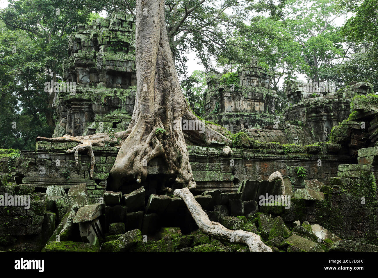 Ta phrom temple hi-res stock photography and images - Alamy