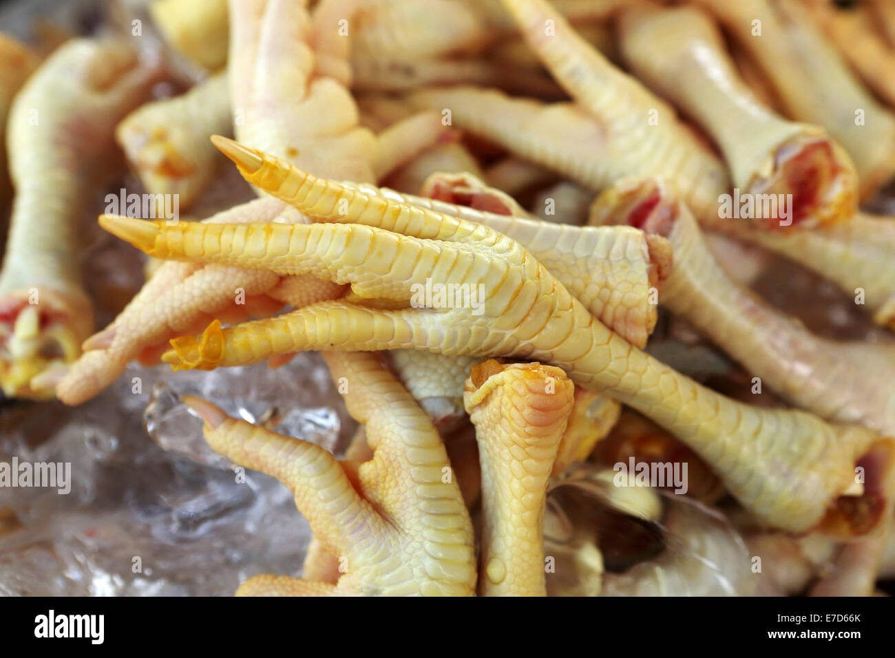 Chicken feet hi-res stock photography and images - Alamy