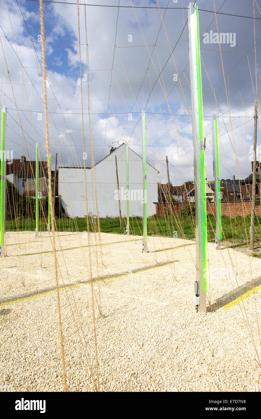 Jyll bradley hi-res stock photography and images - Alamy