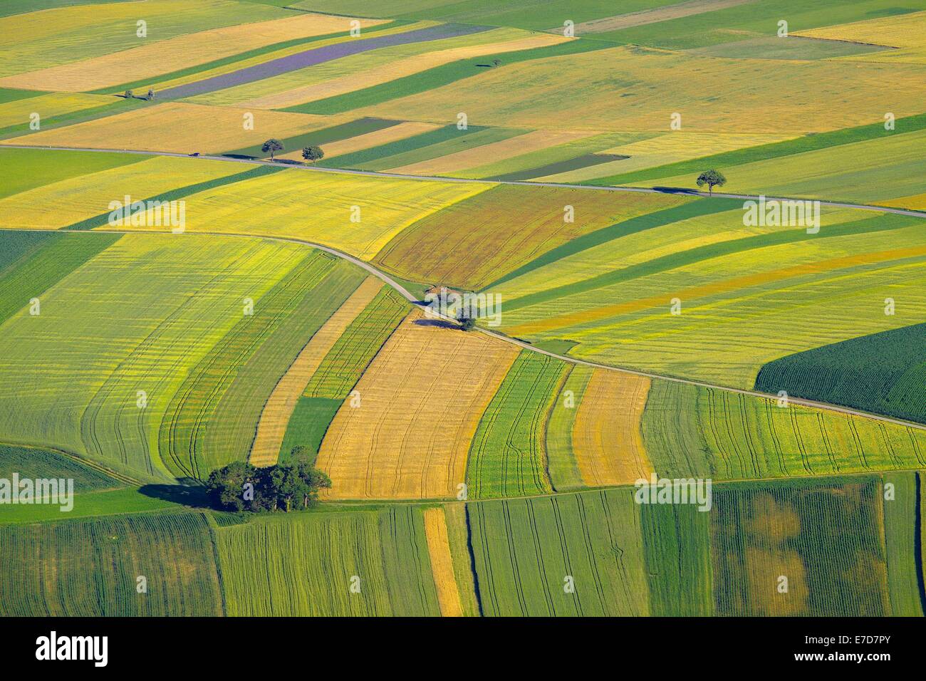 Summer panorama vast fields hi-res stock photography and images - Alamy