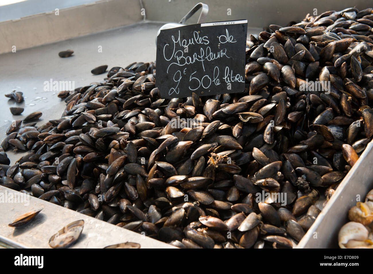 Operation fish world war ii hi-res stock photography and images - Alamy