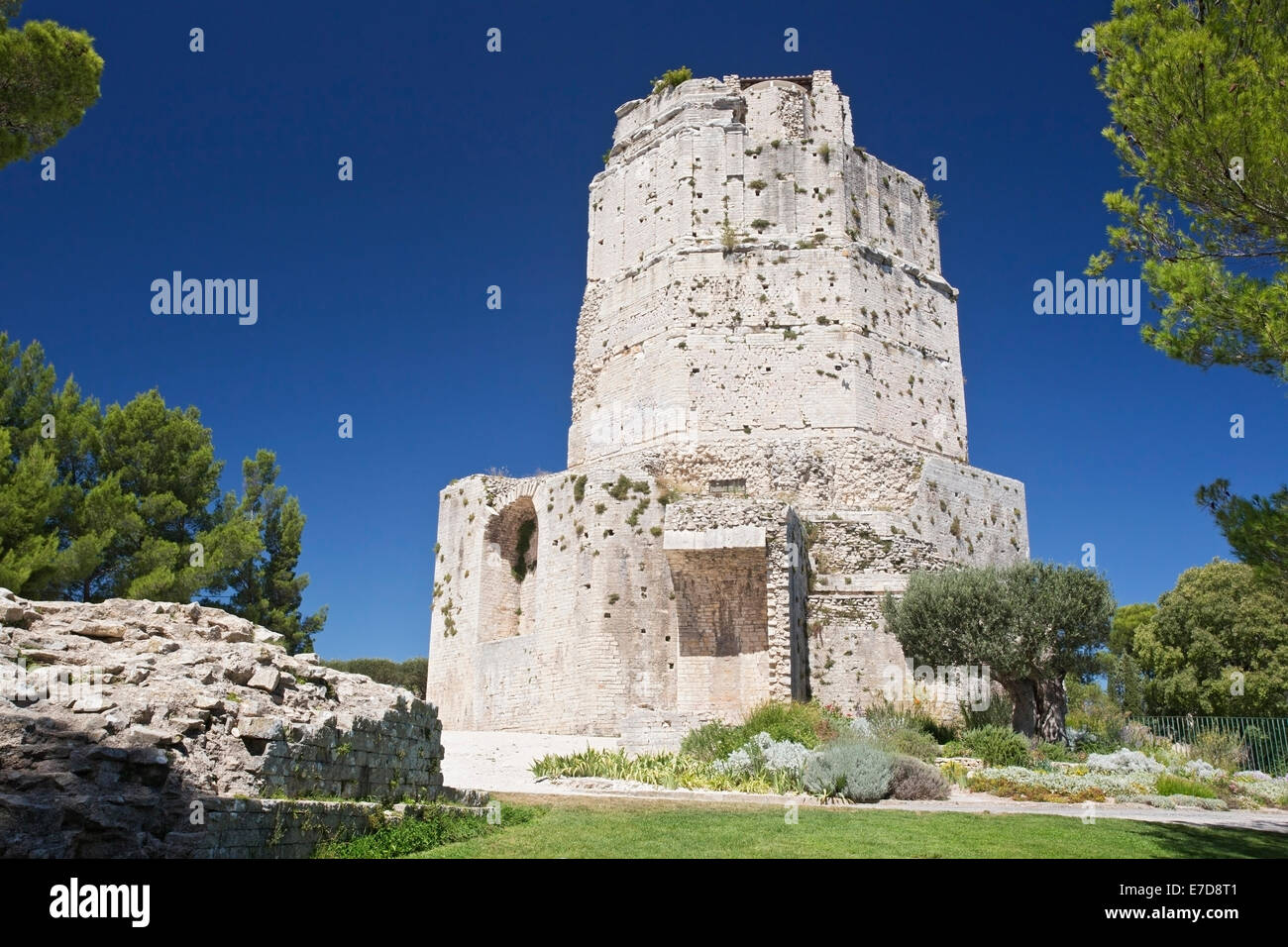 The Tour Magne, Nimes, France, against a blue sky Stock Photo - Alamy