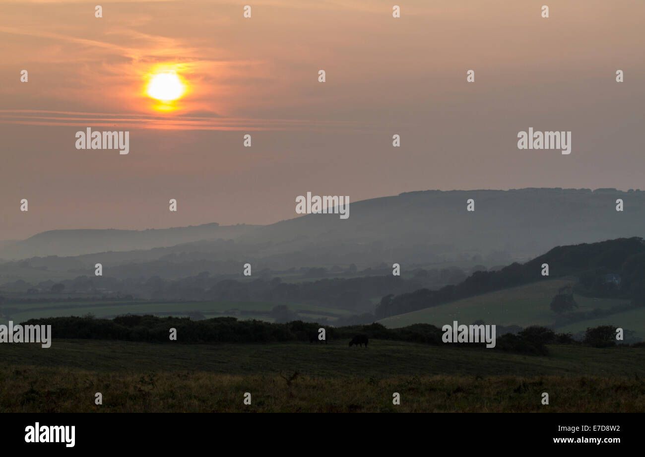 cloudy evening covering sun setting over the hills with heath in ...