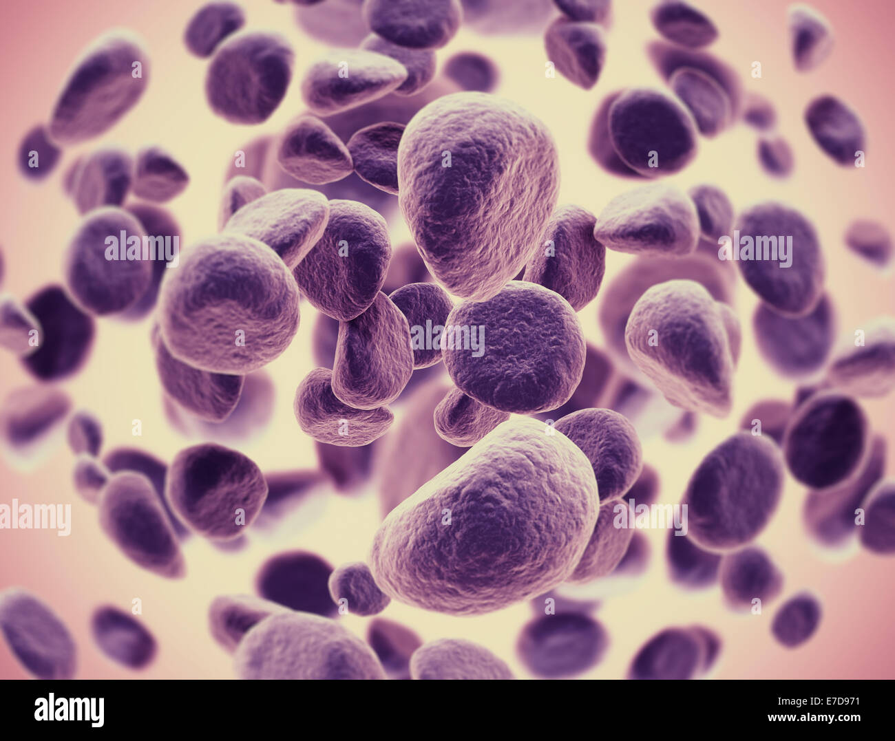 Skin cancer cells hi-res stock photography and images - Alamy