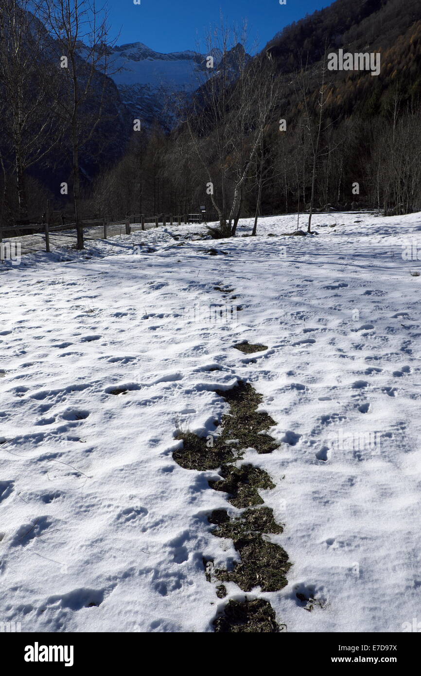 A path in the snow, Val di Mello, Italy Stock Photo - Alamy
