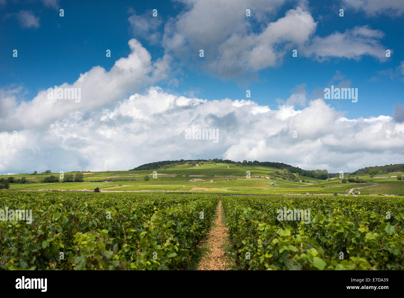 Beaune burgundy clouds hi-res stock photography and images - Alamy