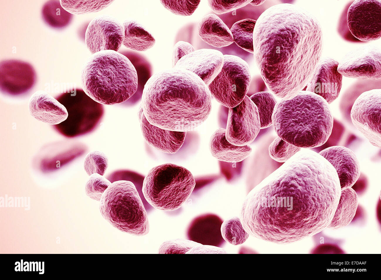 Red blood cells. High detailed 3d render Stock Photo - Alamy