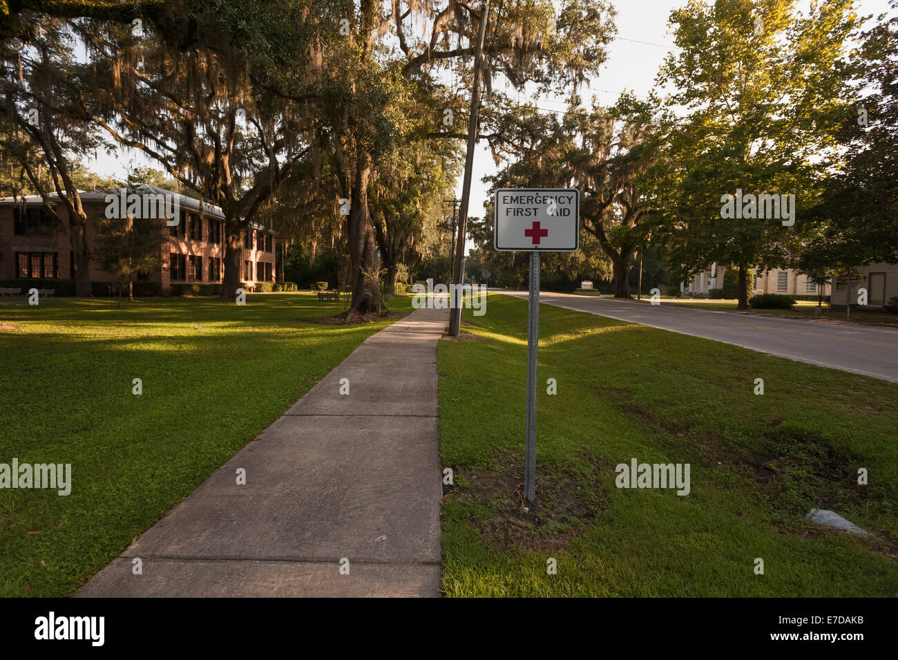 From the little historic Town of Micanopy, Florida and nestled ...