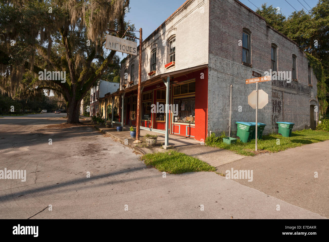 From the little historic Town of Micanopy, Florida and nestled ...