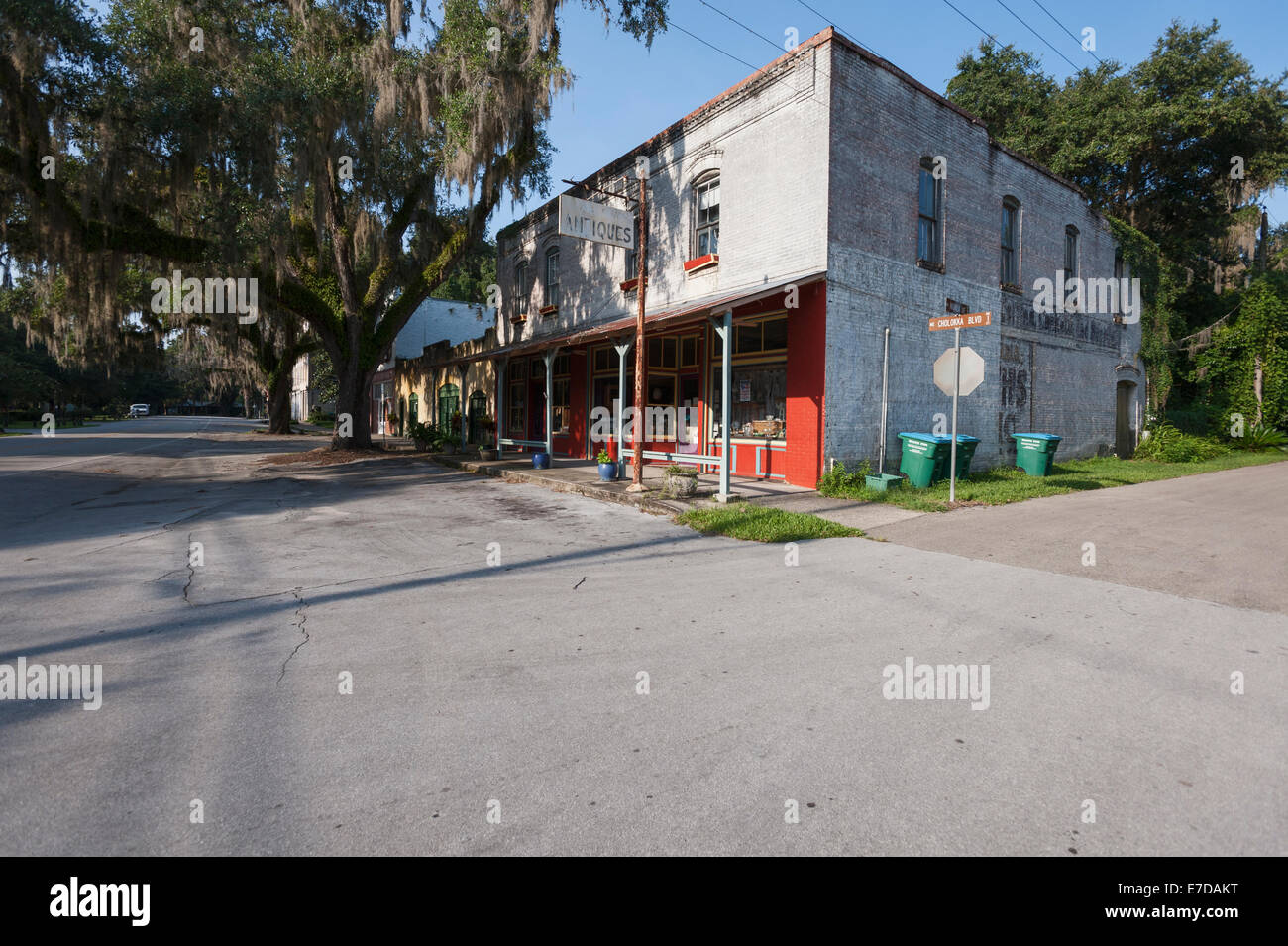 From the little historic Town of Micanopy, Florida and nestled ...