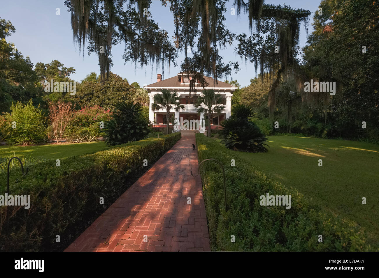 From the little historic Town of Micanopy, Florida and nestled ...