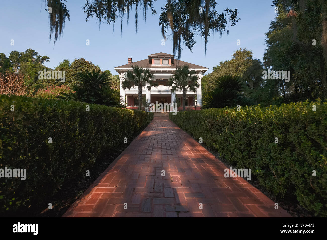 From the little historic Town of Micanopy, Florida and nestled ...