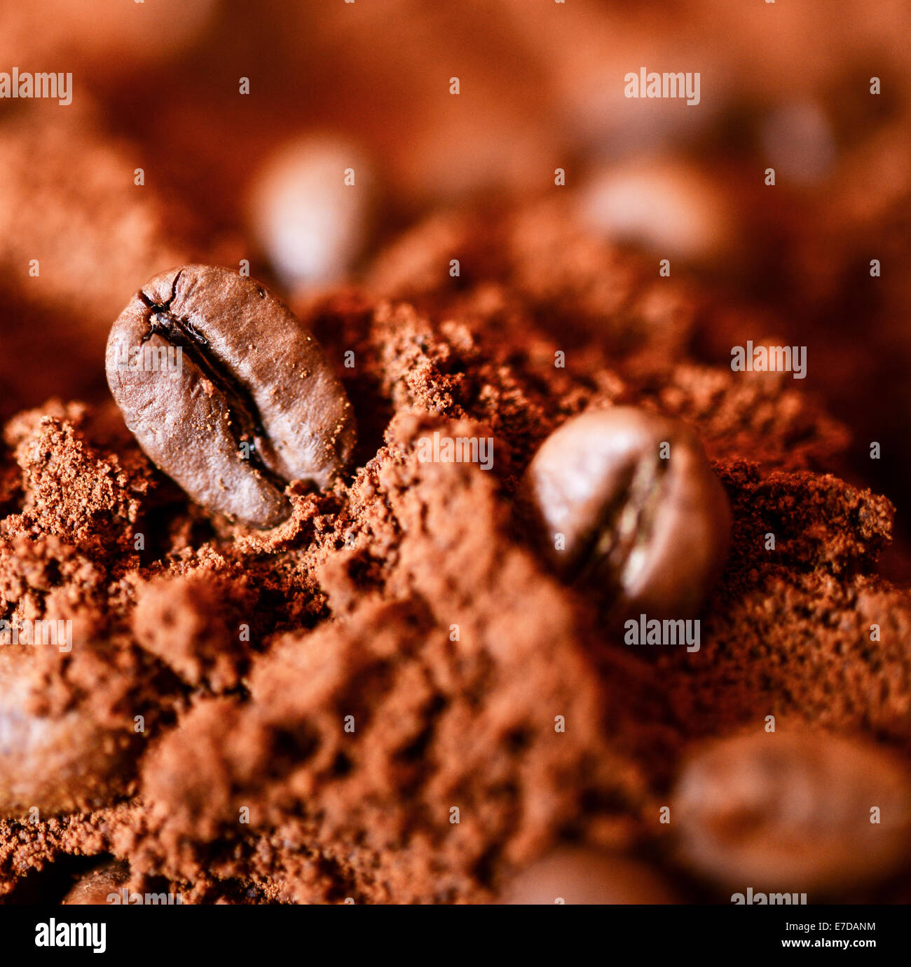 Two coffee beans hi-res stock photography and images - Alamy