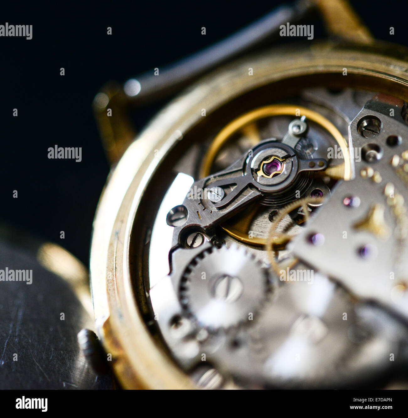 Extreme macro shot of watch mechanism Stock Photo - Alamy