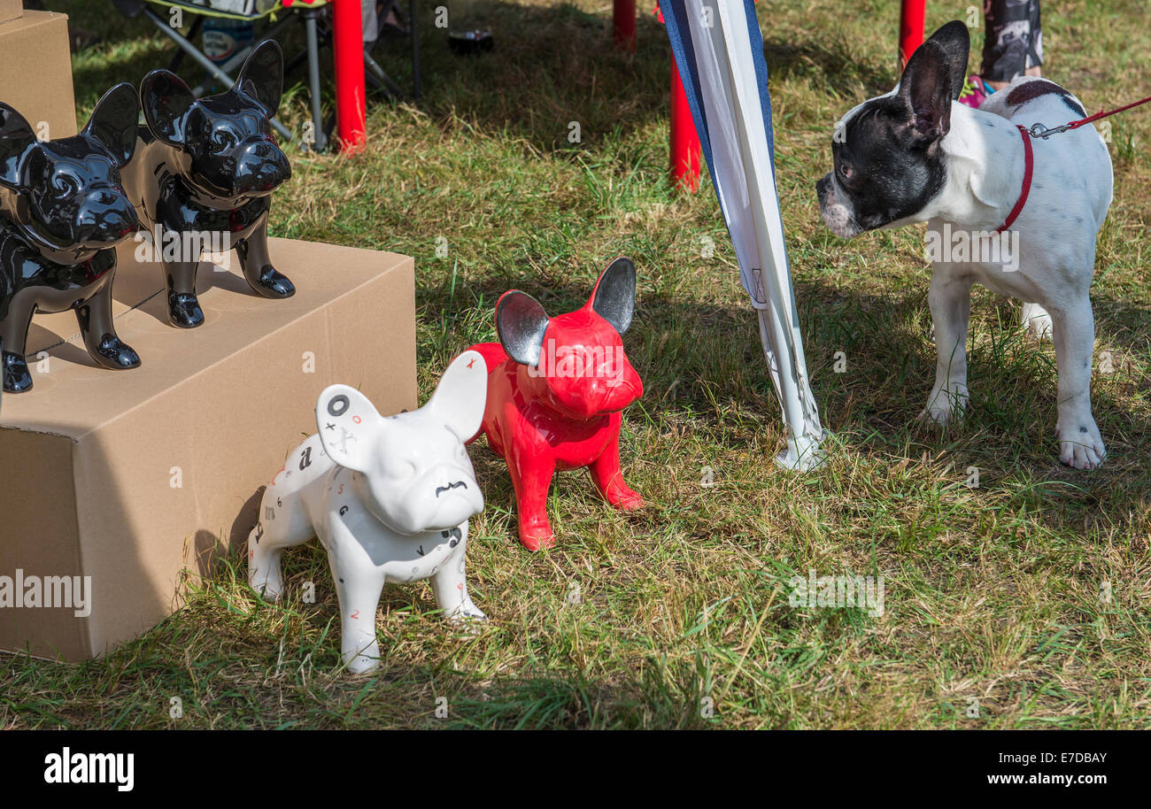 Warsaw, Poland. 14th September, 2014. A dog looks at dogs figures ...