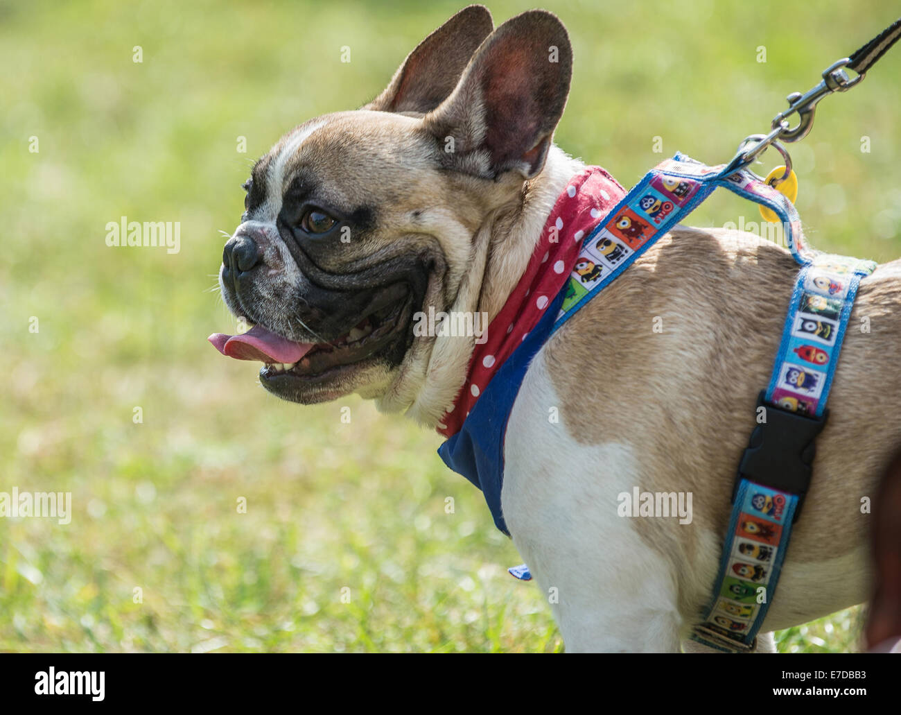 Warsaw rally hi-res stock photography and images - Alamy