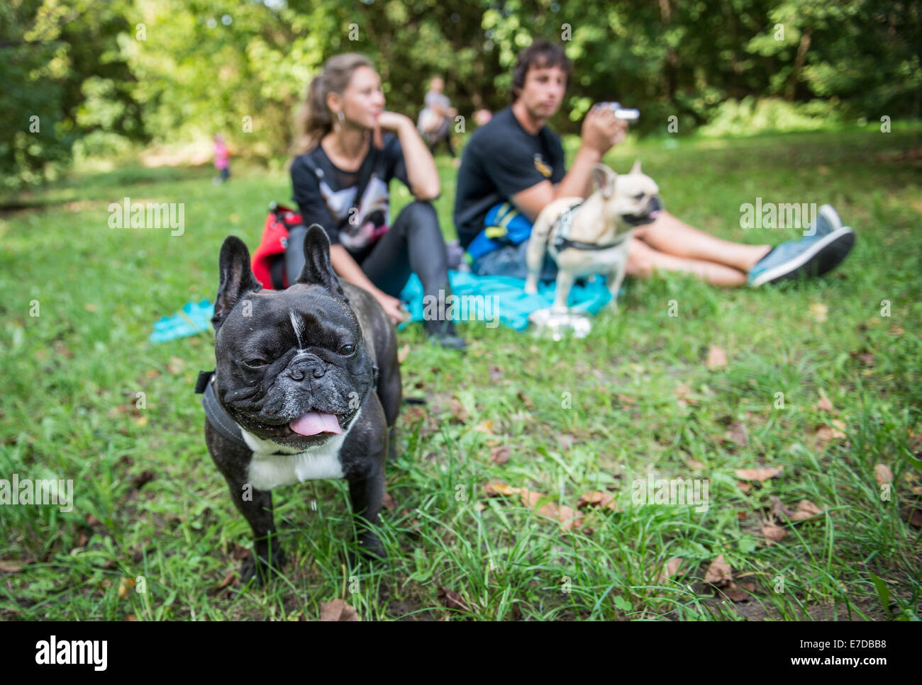 Warsaw, Poland. 14th September, 2014. A dogs and their owners during ...