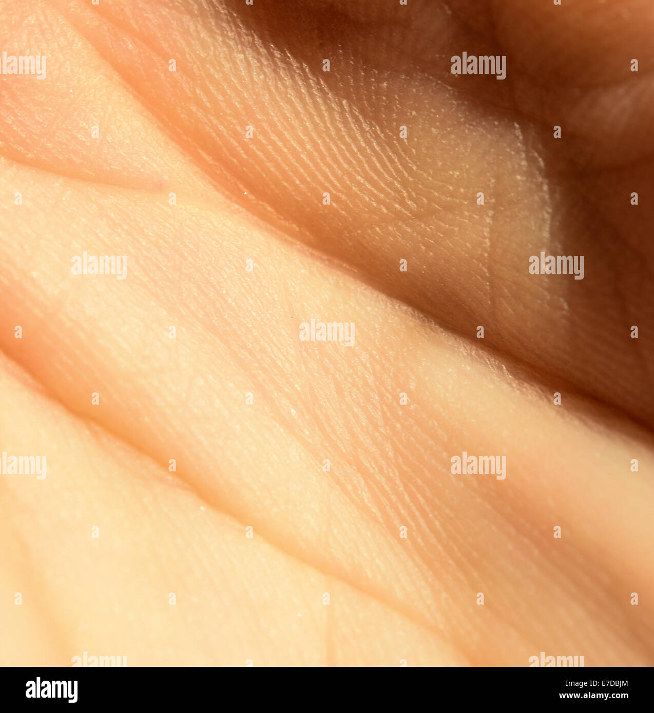 Human wrinkled skin macro shot Stock Photo - Alamy