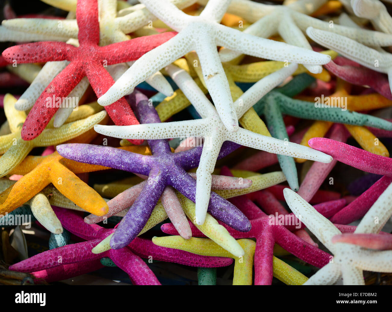 Pile of colorful sea starfish Stock Photo - Alamy