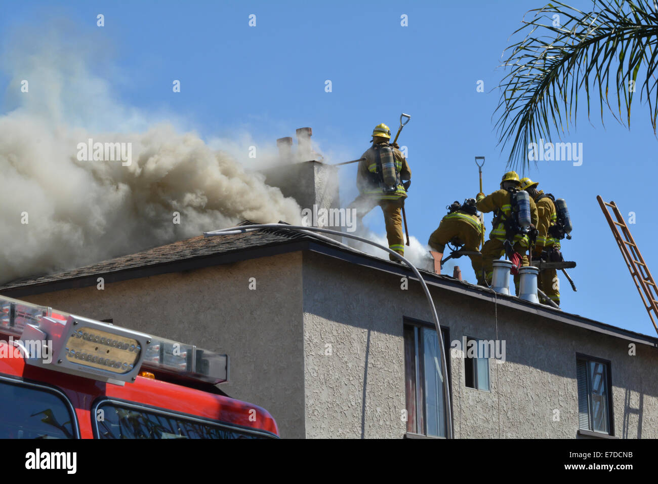 Los Angeles Fire Department at a building fire Stock Photo - Alamy