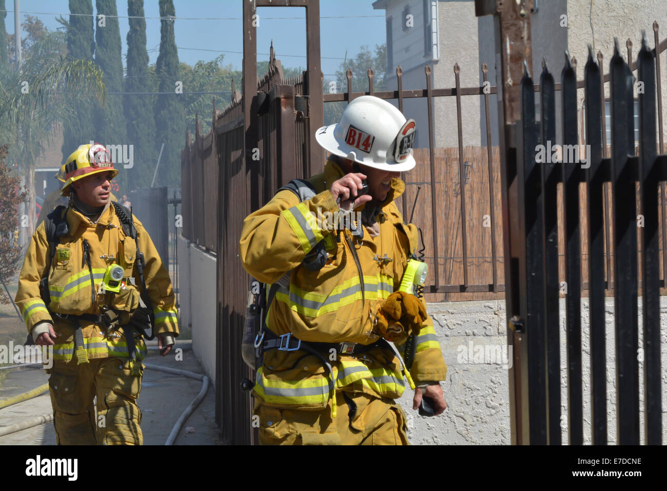 Los Angeles Fire Department at a building fire Stock Photo - Alamy