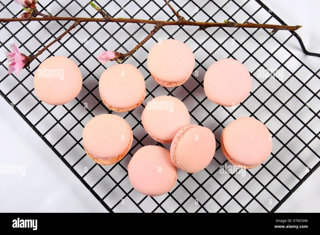 Pink macarons hi-res stock photography and images - Alamy