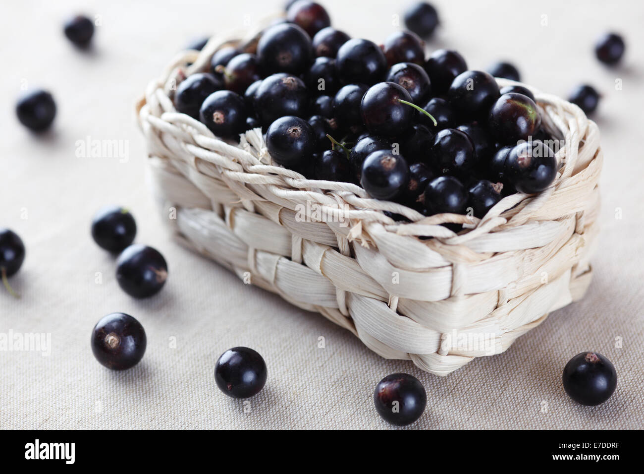 Blackcurrant fruit hi-res stock photography and images - Alamy
