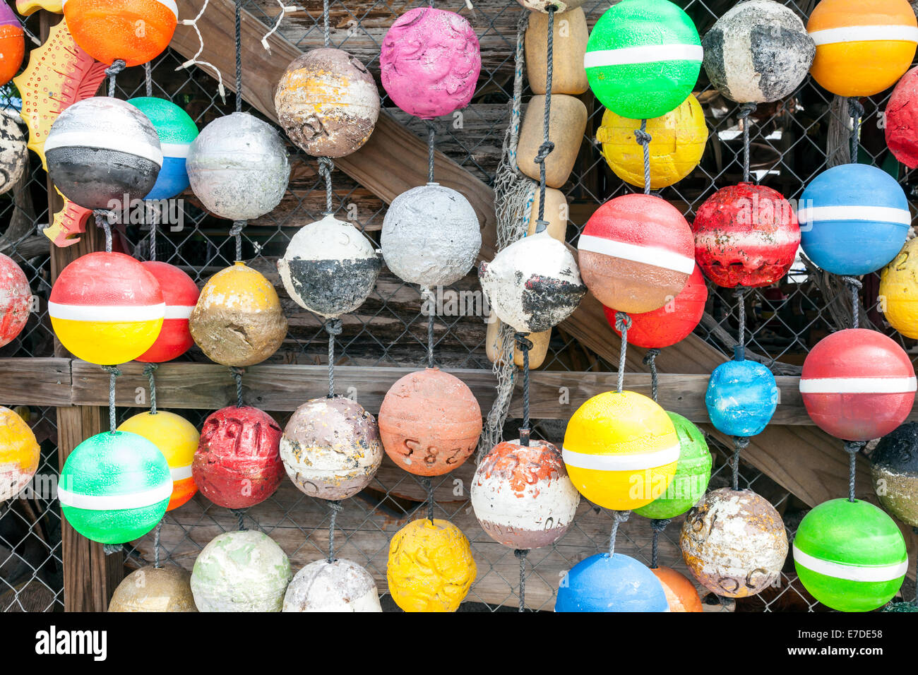 Colorful Styrofoam fishing net and crab lobster trap floats hanging on ...