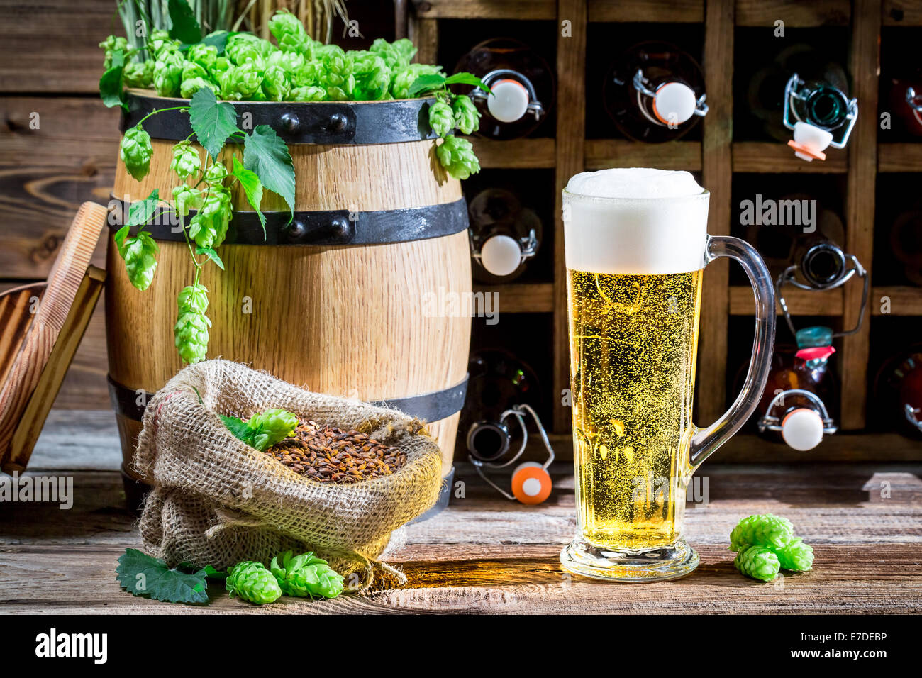Light beer made of fresh hops Stock Photo - Alamy