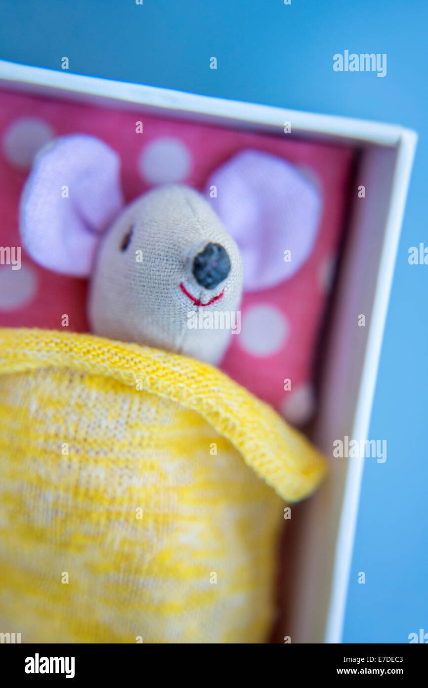 Tiny mouse sleeping inside a box Stock Photo - Alamy