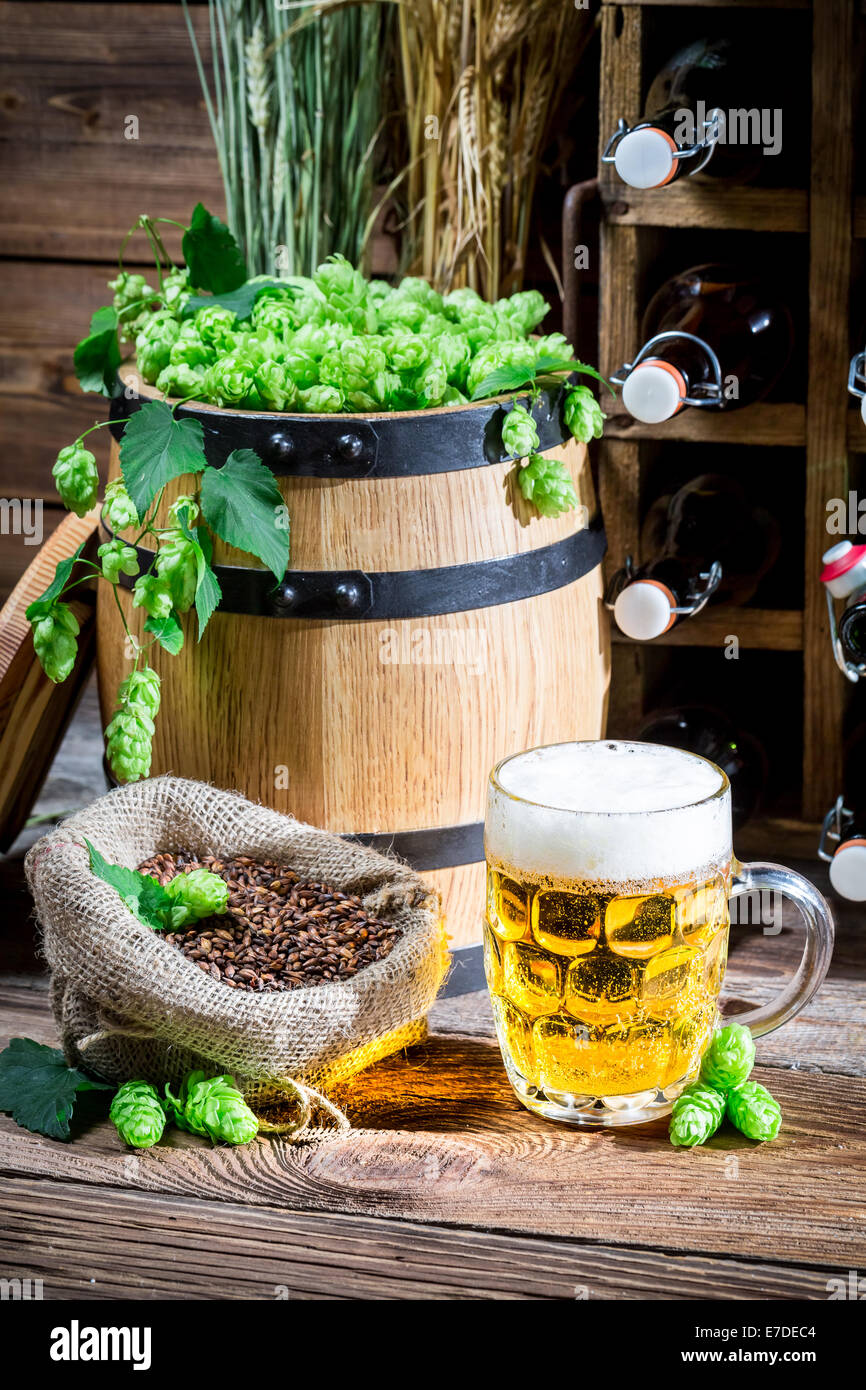 Fresh beer and hoppy flavor Stock Photo - Alamy