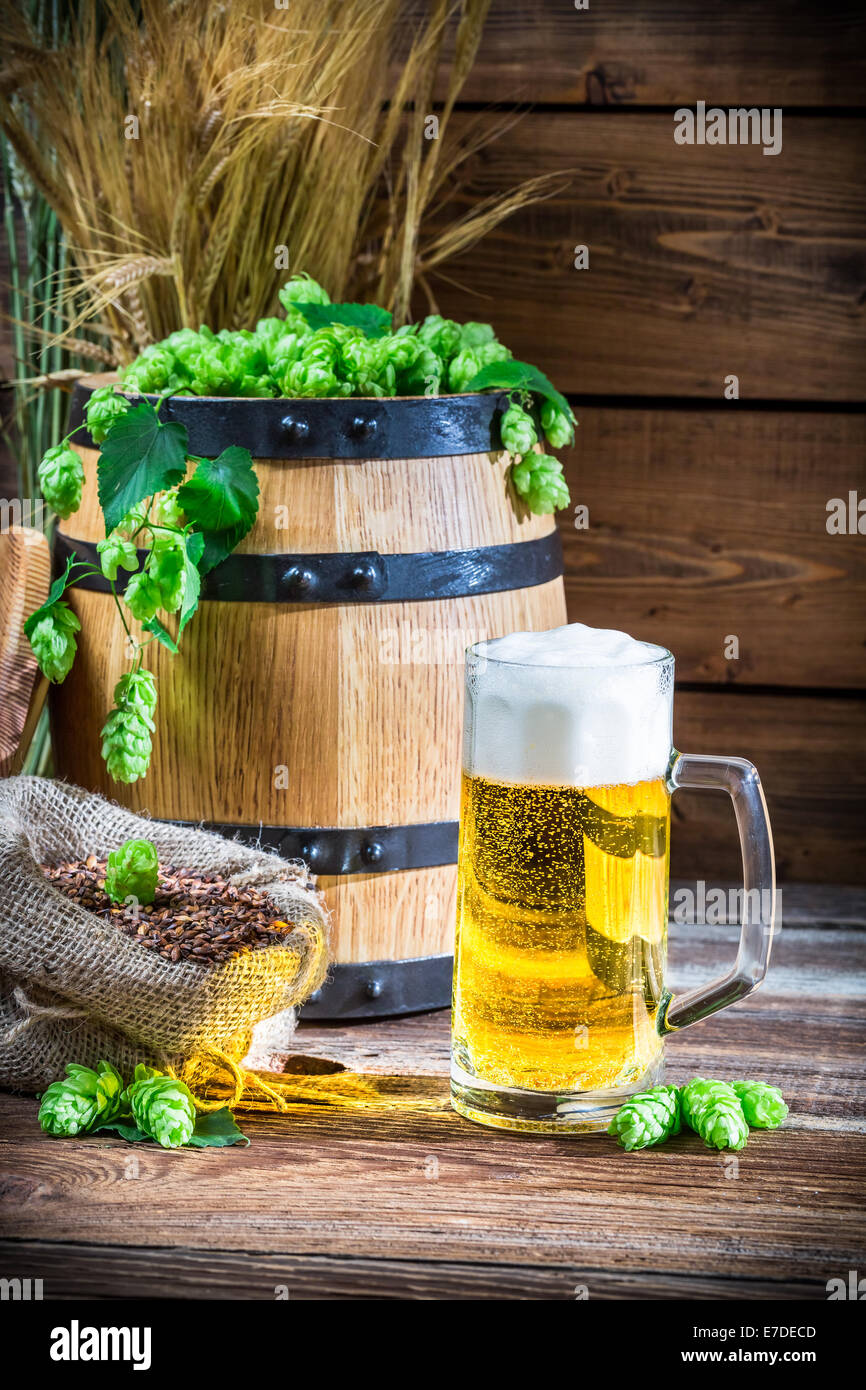 Golden color of light beers Stock Photo - Alamy