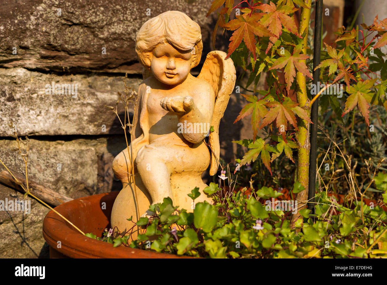 Angel garden ornament hi-res stock photography and images - Alamy