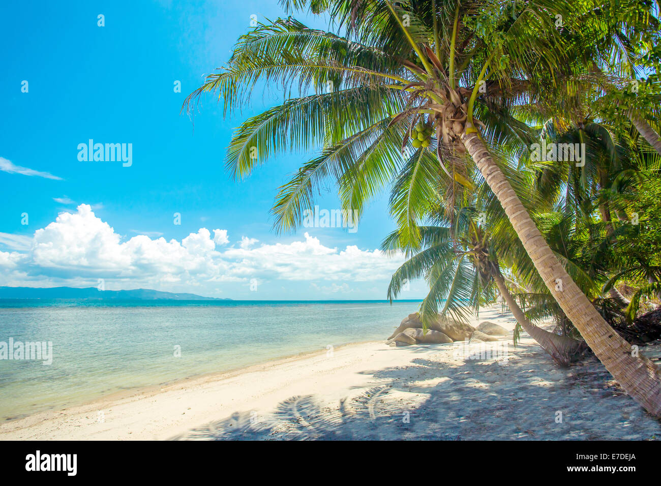 A beautiful tropical beach with palm trees at Koh Phangan island ...