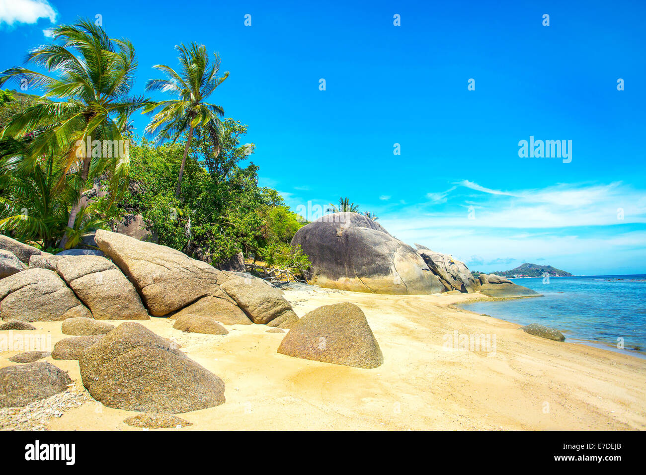 A beautiful tropical beach with palm trees at Koh Phangan island ...