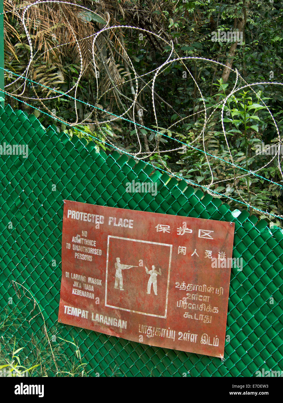 Fence outside an army base near Bukit Timah nature reserve in Singapore ...