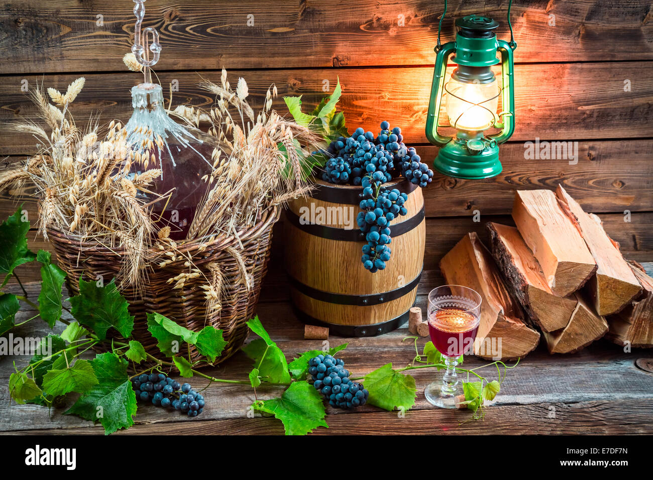 Tasting red wine straight from the demijohn Stock Photo - Alamy