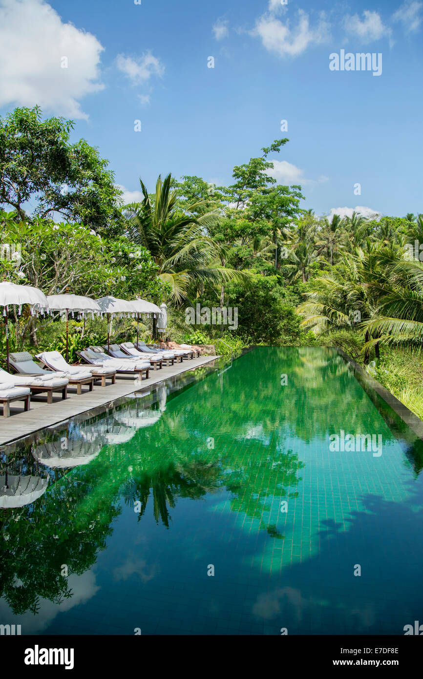 Ubud infinity pool hi-res stock photography and images - Alamy
