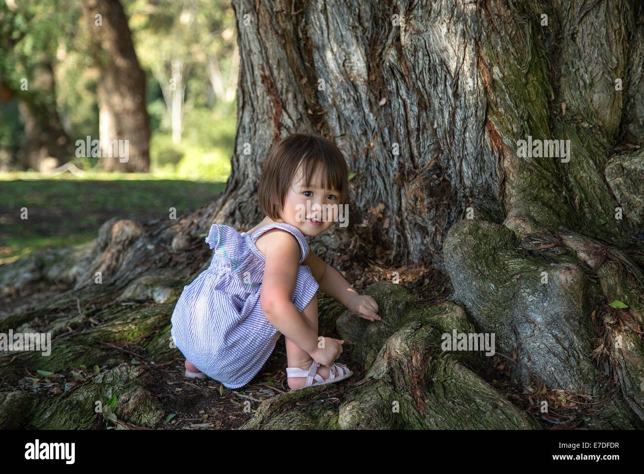 Toddler girl playing under a tree, San Diego, California Stock Photo ...