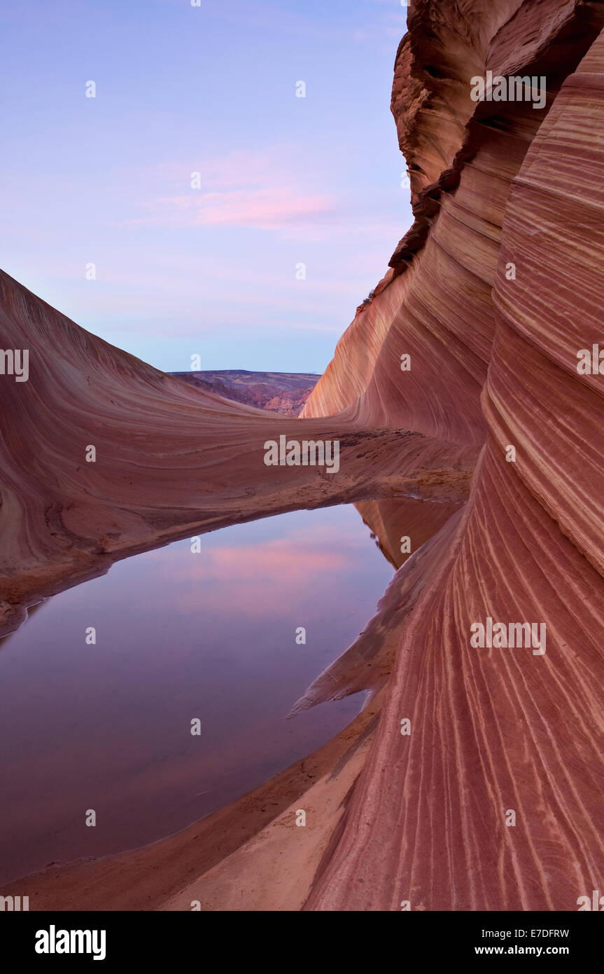 A shallow pool of water within the Vermillion Cliffs region reflects ...