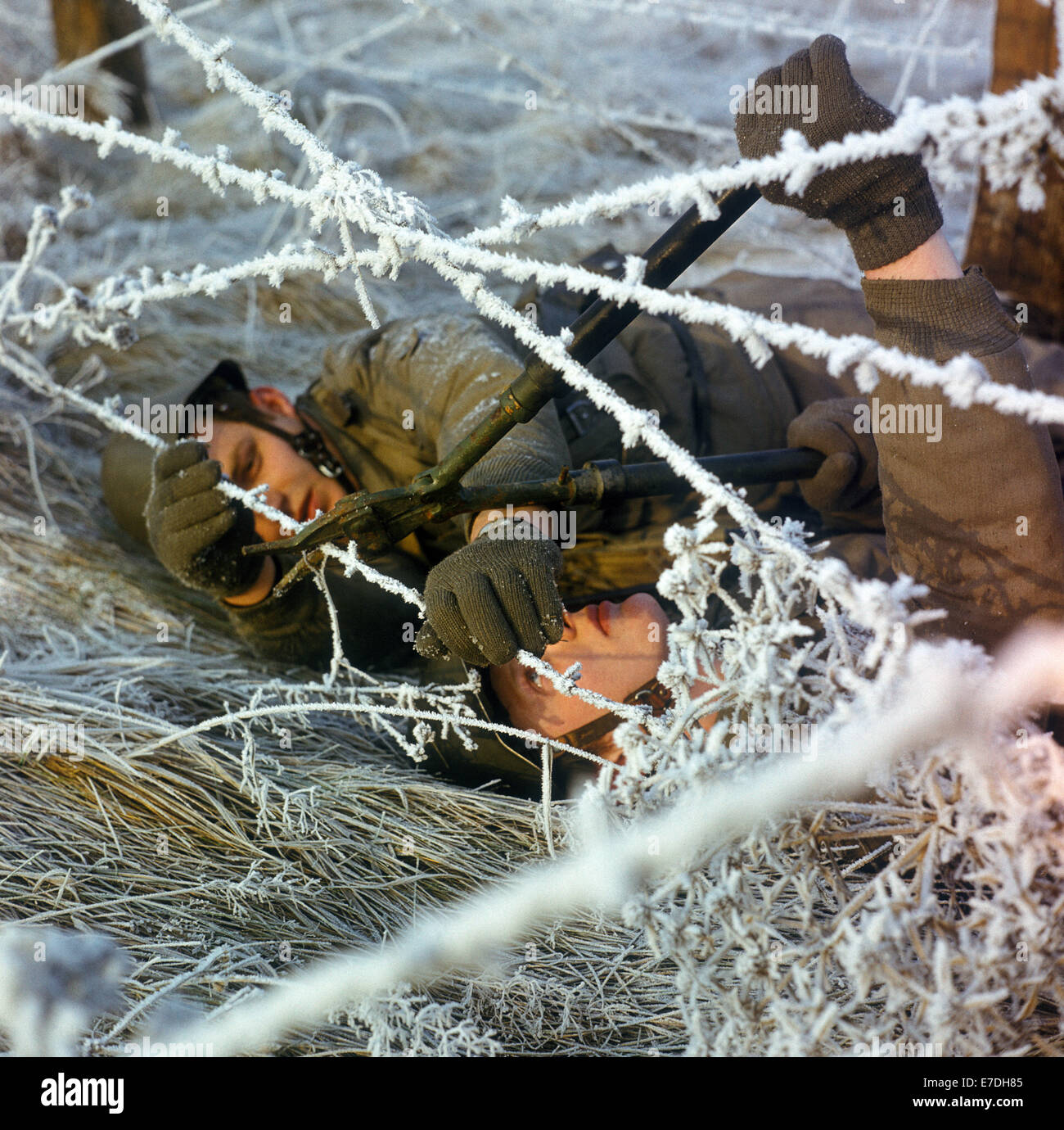 Nva Soldiers High Resolution Stock Photography and Images - Alamy