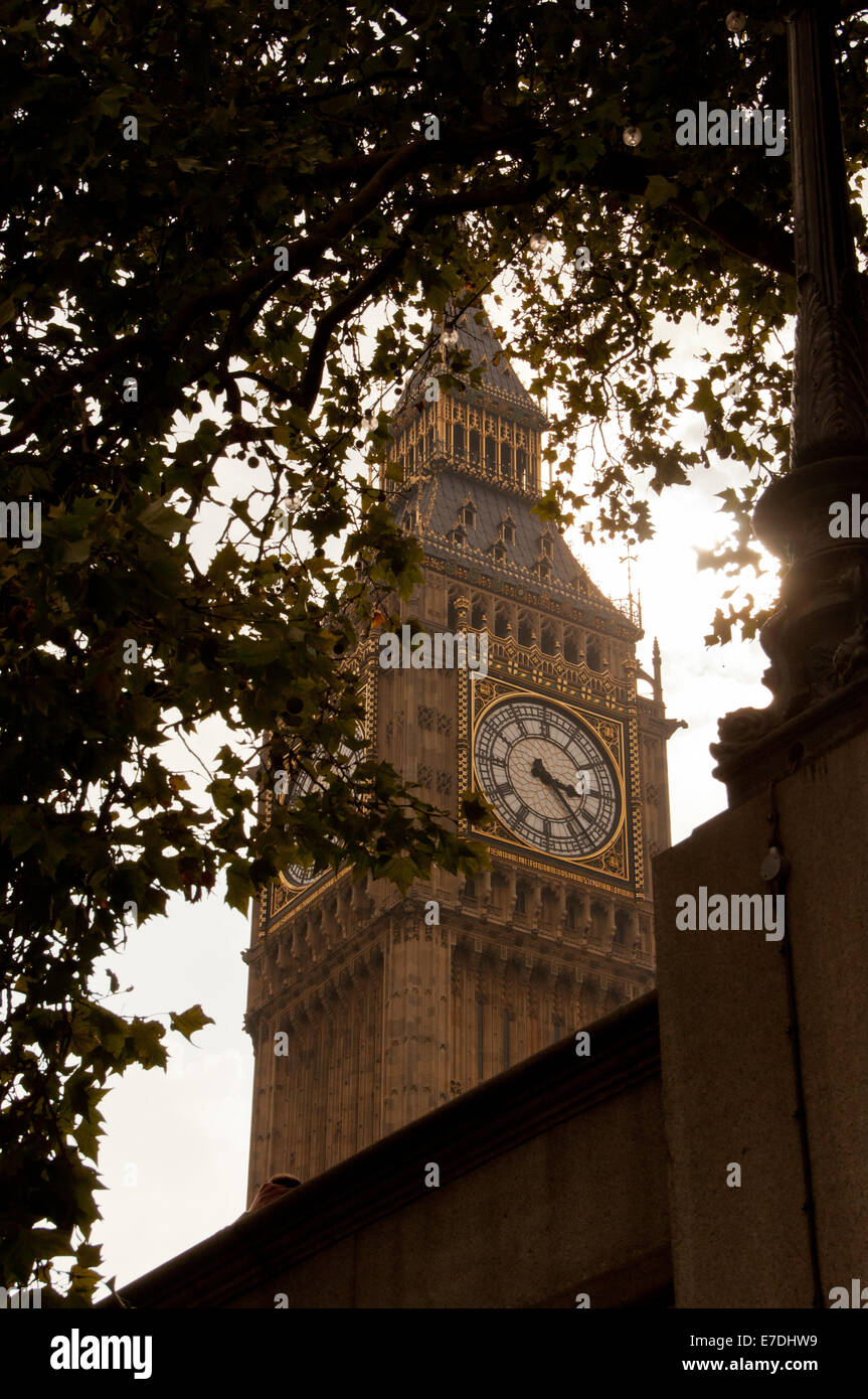Big ben trees hi-res stock photography and images - Alamy