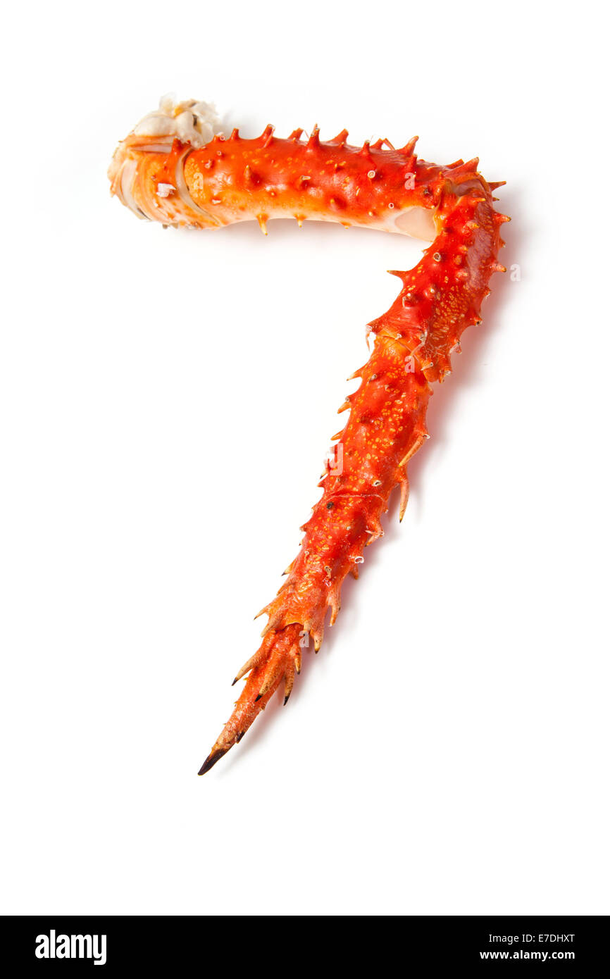 Cooked Peruvian Southern King crab leg (Lithodes Santolla ) isolated on ...