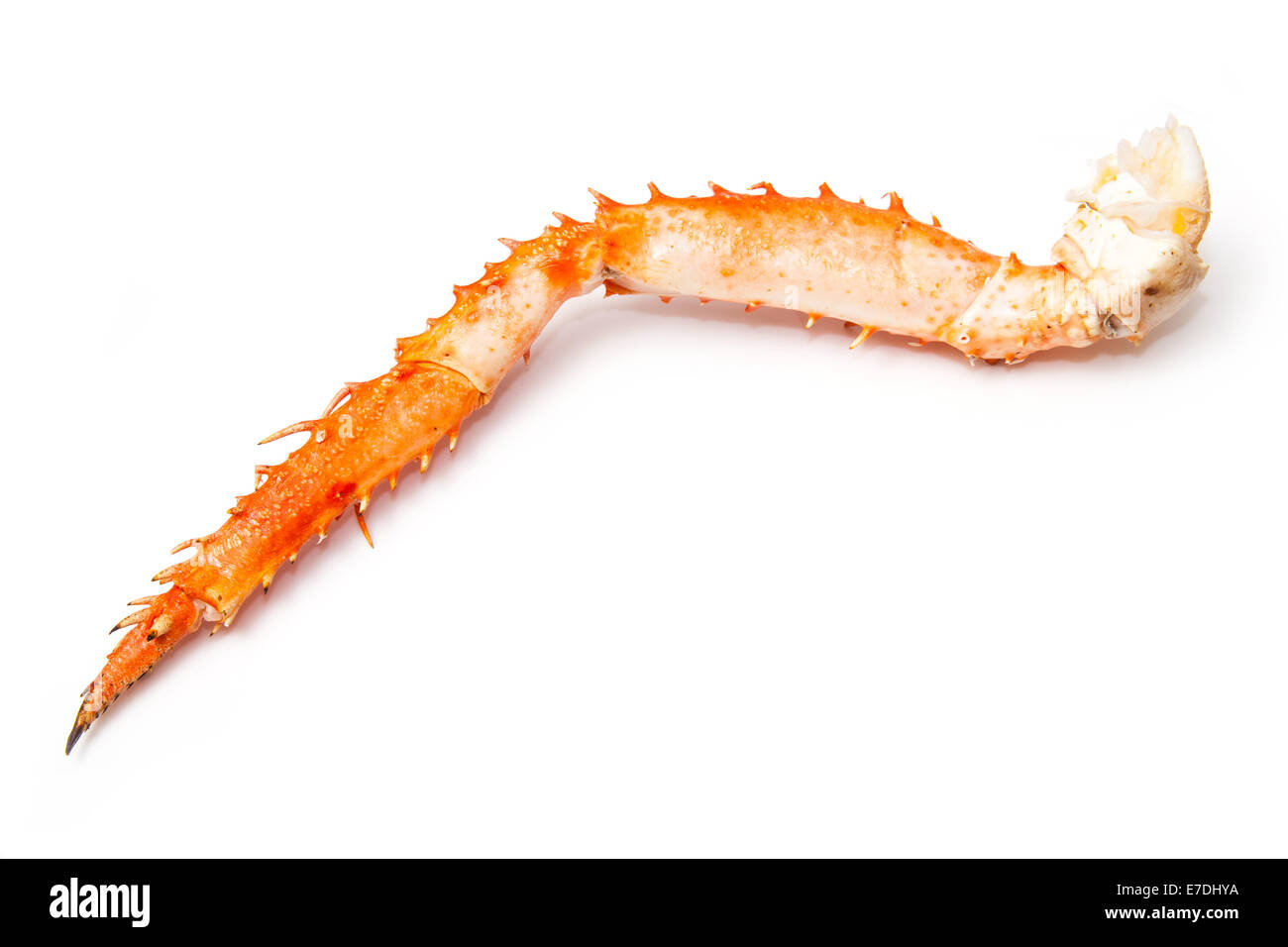 Brown king crab hi-res stock photography and images - Alamy